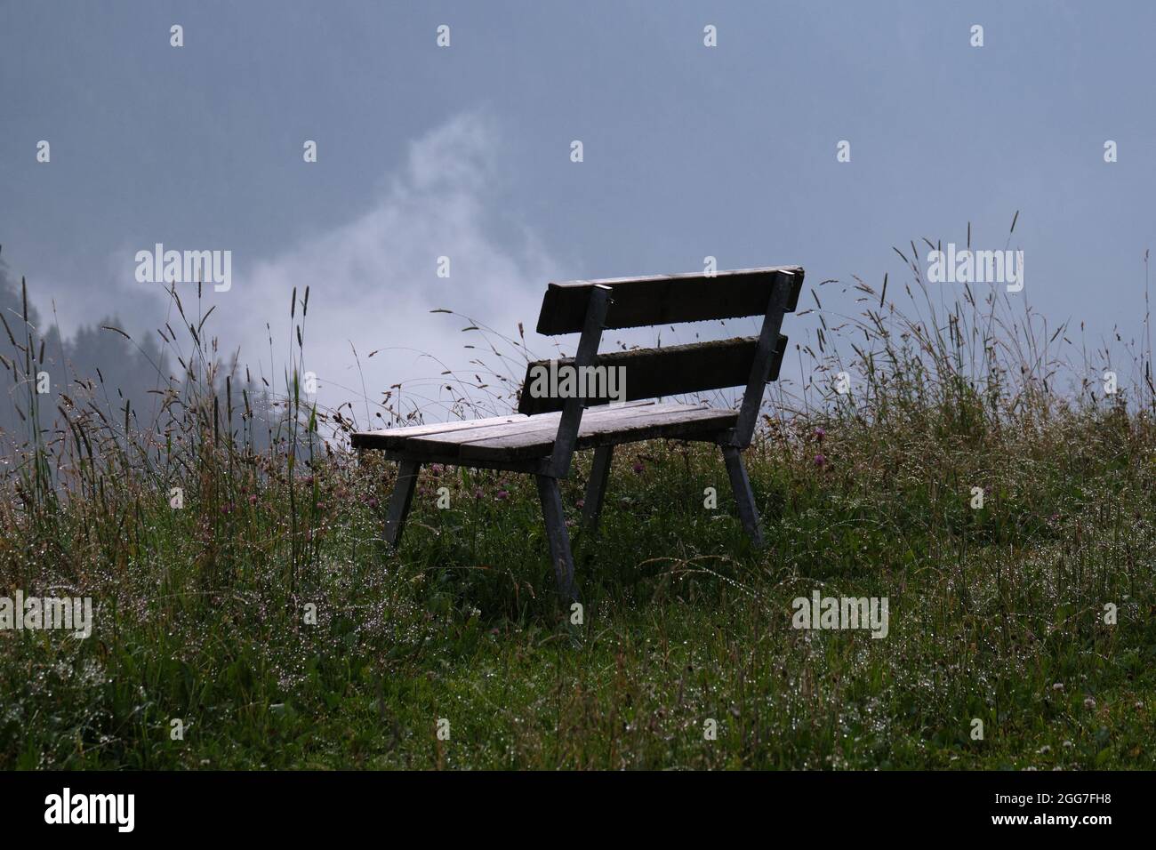 a bench in the mountain after rainfall Stock Photo - Alamy