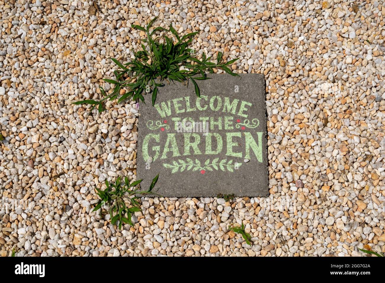 Gravel path weeds hi-res stock photography and images - Alamy