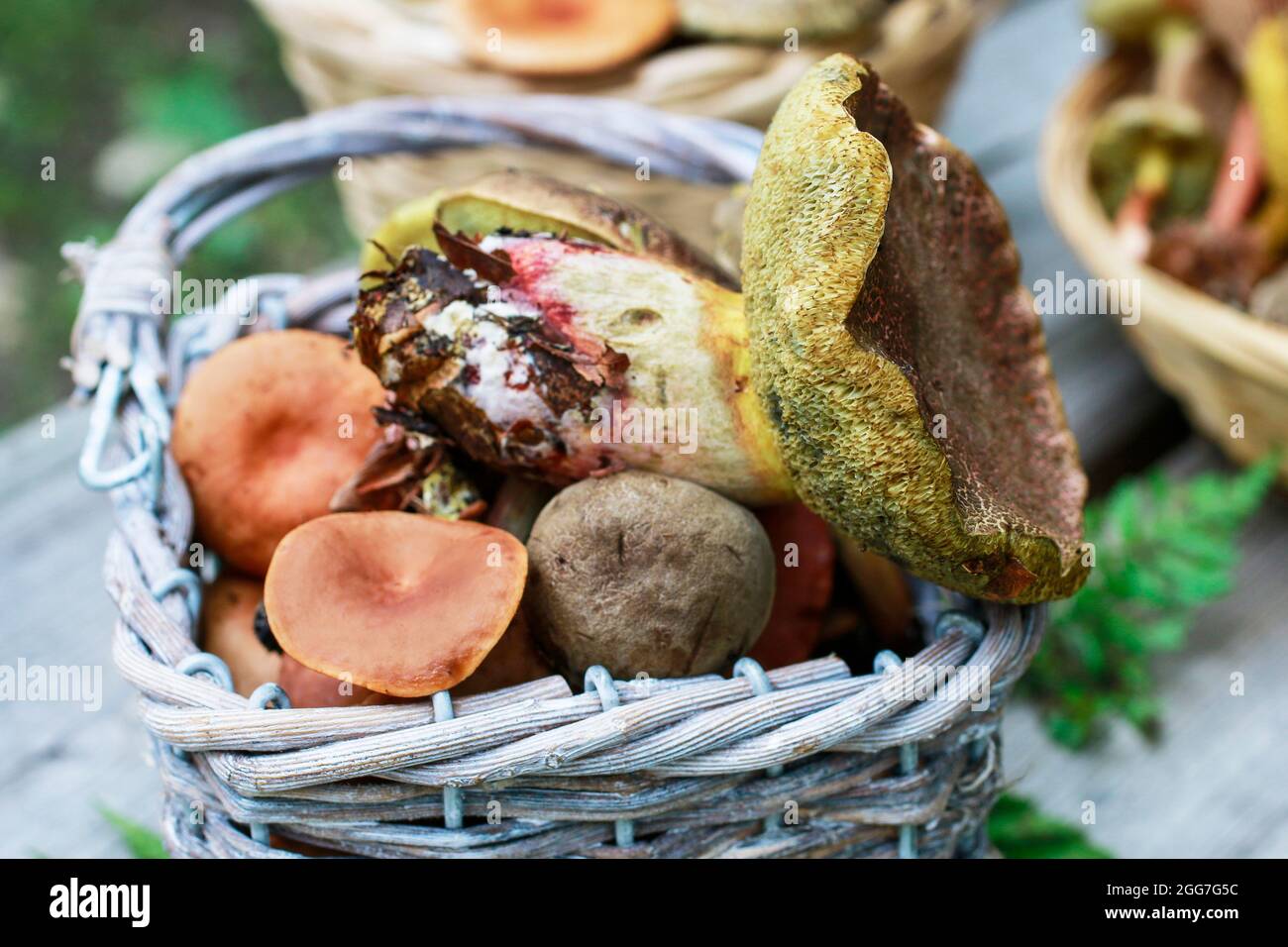 Fungi wicker baskets hi-res stock photography and images - Alamy