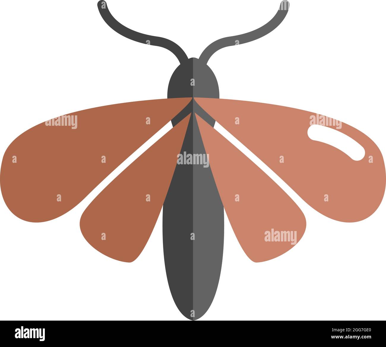 Brown moth, icon illustration, vector on white background Stock Vector ...