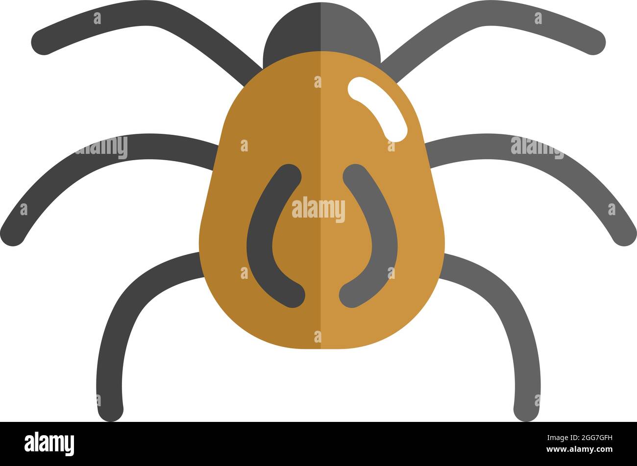 Real spider Stock Vector Images - Alamy