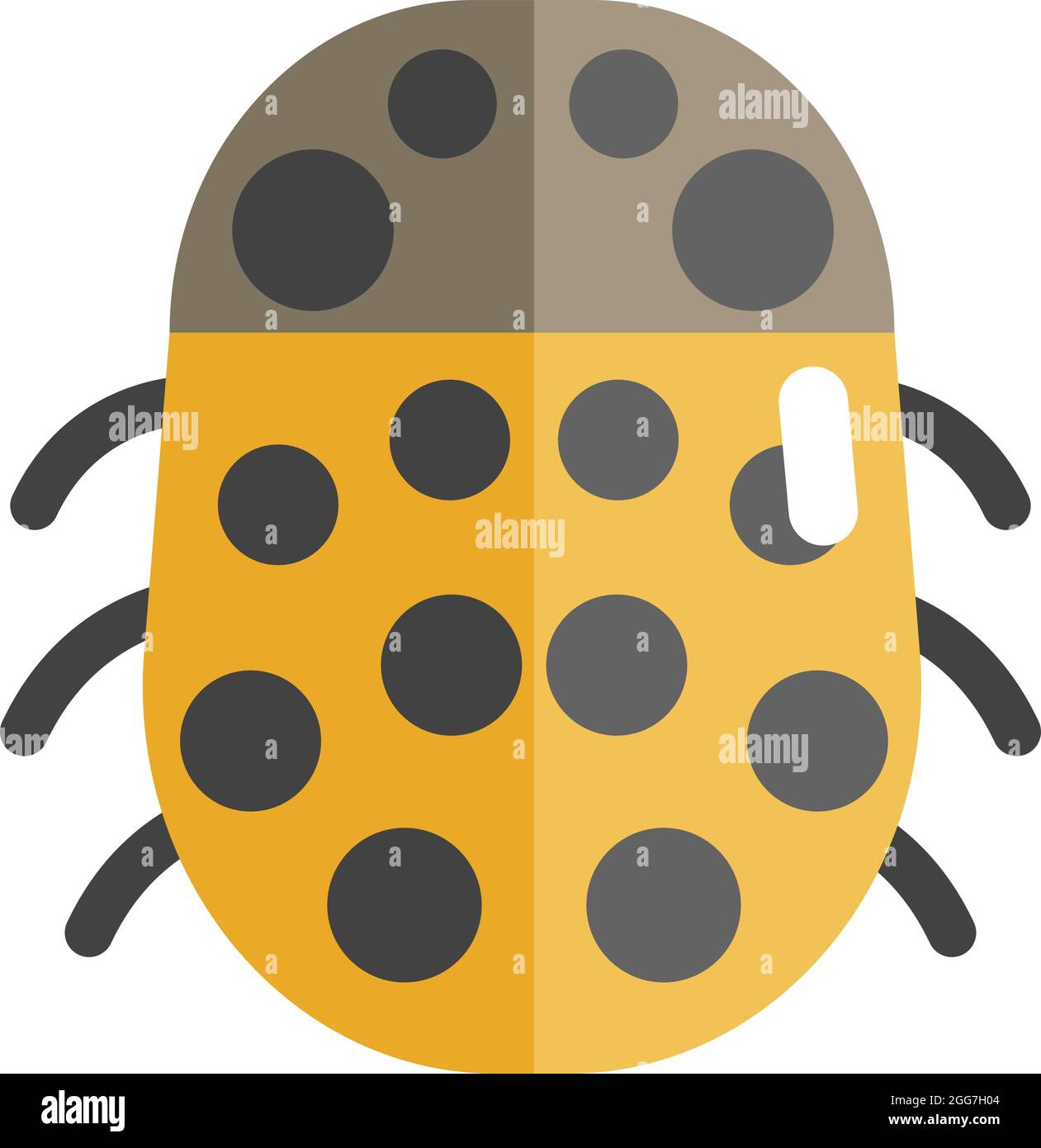 Black and yellow insects Stock Vector Images - Alamy