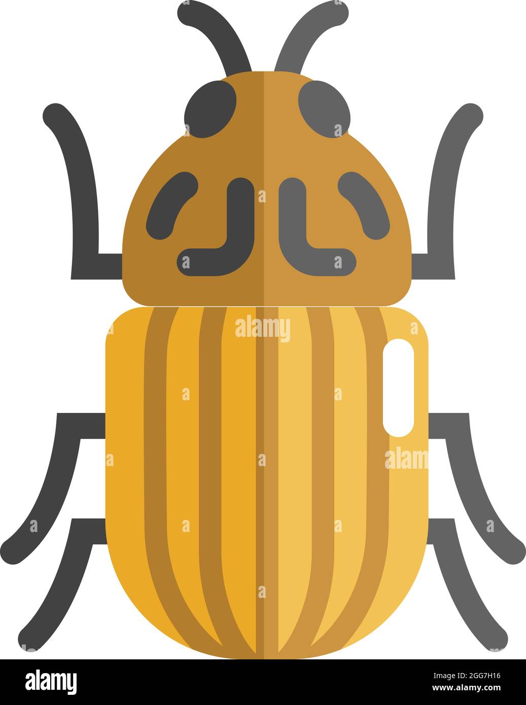 Black and yellow striped beetle Stock Vector Images - Alamy