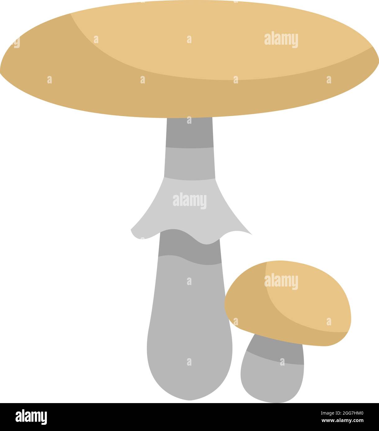 White death cap mushroom, icon illustration, vector on white background ...