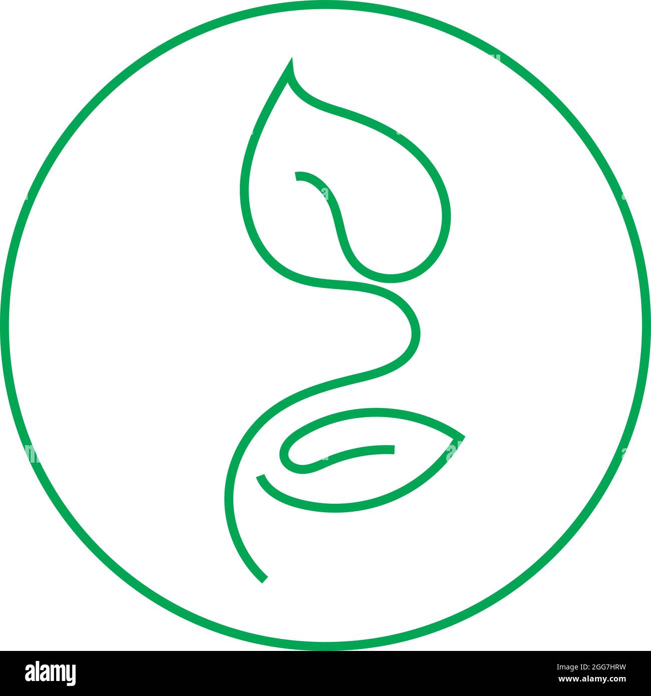 Two young leafs on a stem, icon illustration, vector on white ...