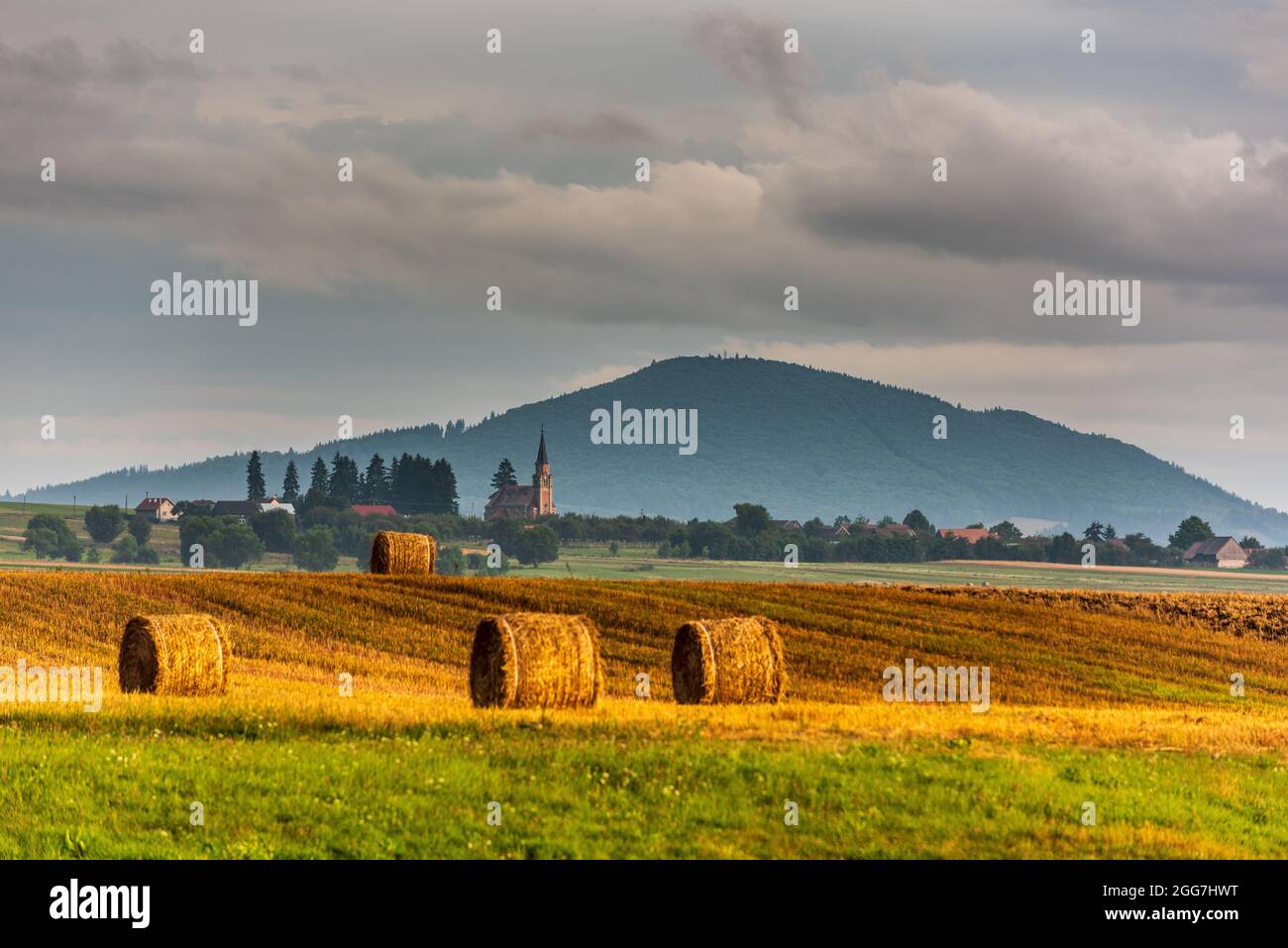 Agricultural field with haystacks, stack of round hay bales, and ...