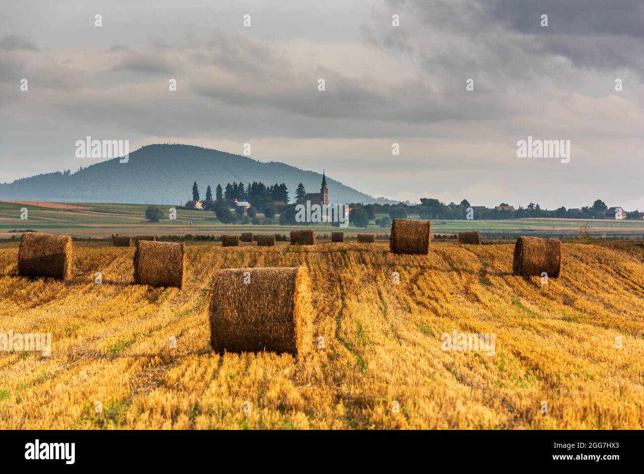 Agricultural field with haystacks, stack of round hay bales, and ...