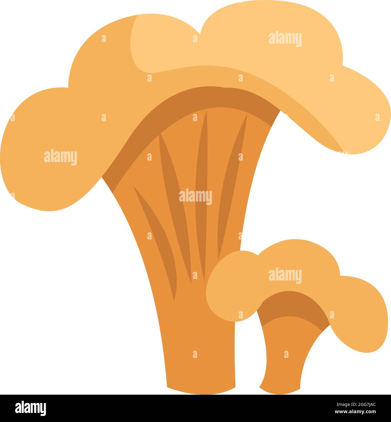 Chanterelle icon white Cut Out Stock Images & Pictures - Alamy