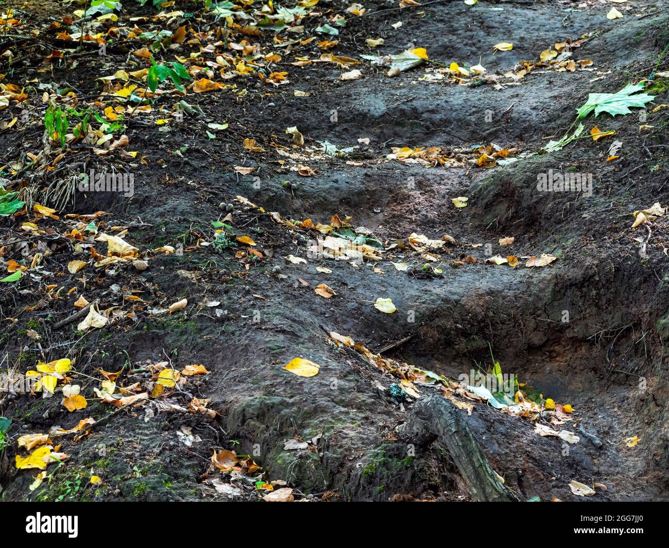 Landscape with the vertical earthen gouged steps closeup Stock Photo ...