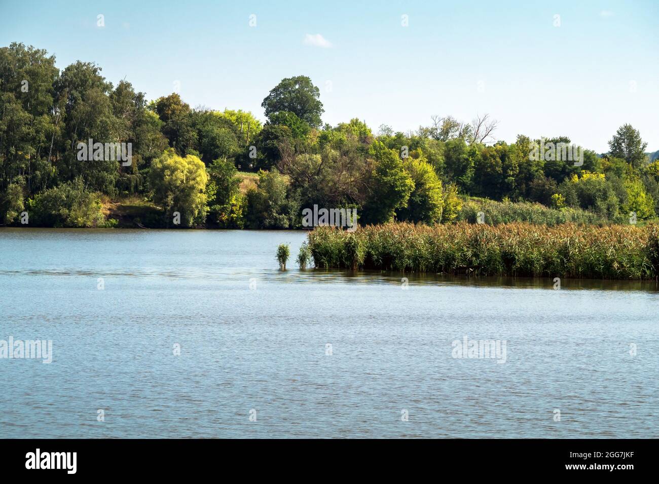 Nature landscape with lake and trees on background Stock Photo - Alamy