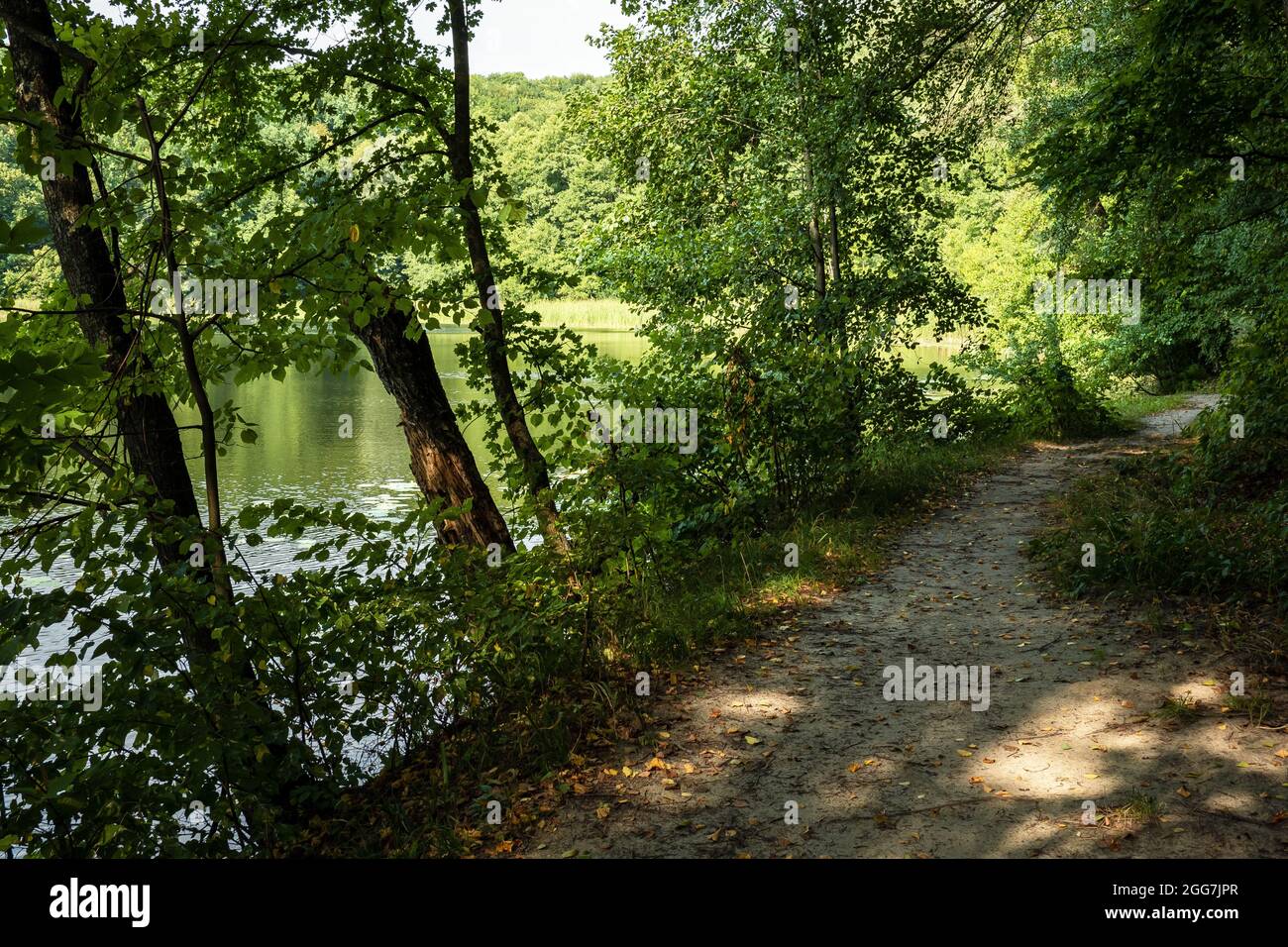 Landscape of the lake shore and foot path Stock Photo - Alamy