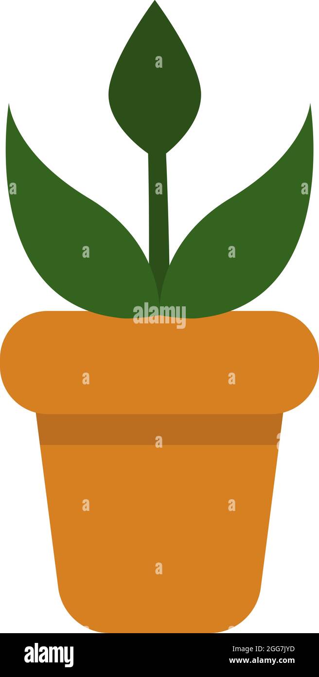 Flowering stage of weed Stock Vector Images - Alamy