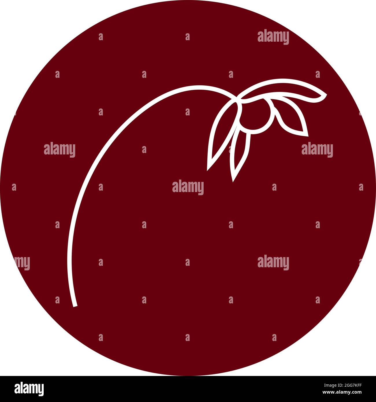 Minimal white flower, icon illustration, vector on white background ...