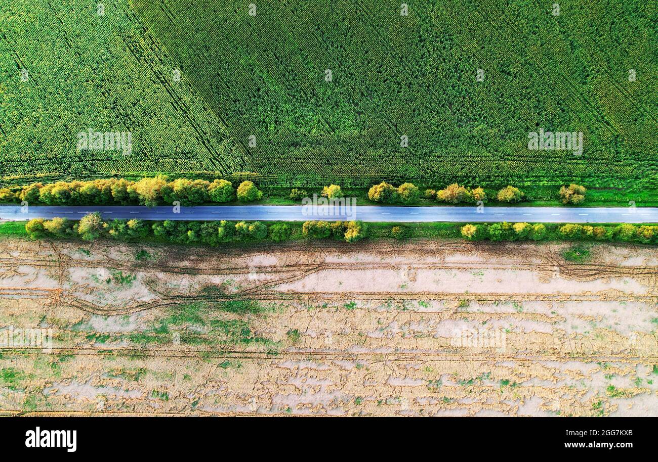 Top view of road near agricultural field. Road through the green plant ...