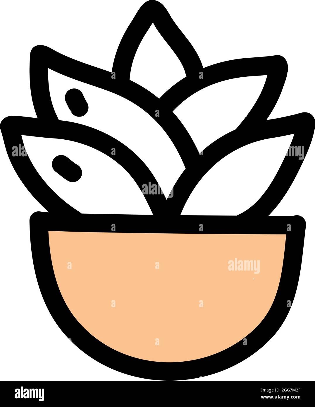 The golden barreel cactus in a pot, icon illustration, vector on white ...