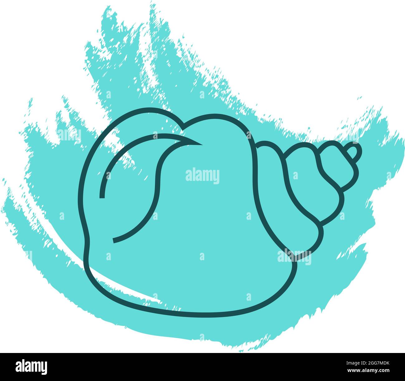 Crown conch snail seashell, icon illustration, vector on white ...