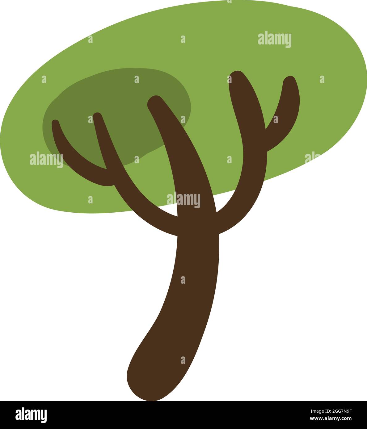 Silver birch, icon illustration, vector on white background Stock ...