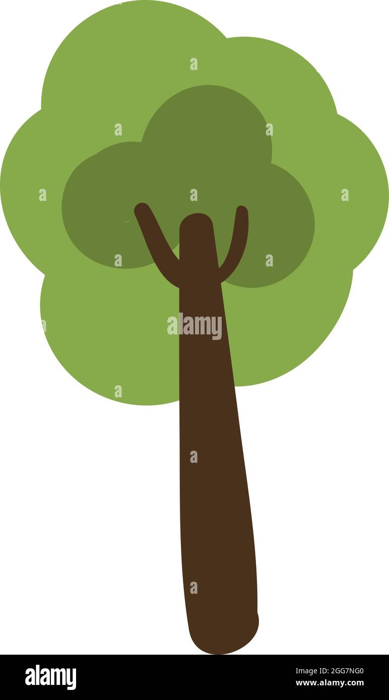 Swamp white oak tree Stock Vector Images - Alamy