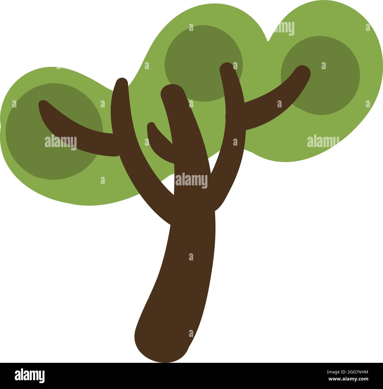 Kobus magnolia tree Stock Vector Images - Alamy