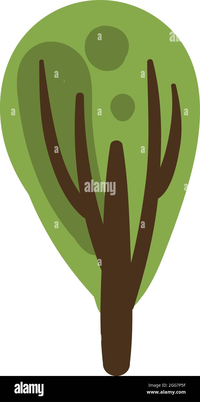 Sycamore maple tree, icon illustration, vector on white background ... Sycamore maple tree, icon illustration, vector on white background ...