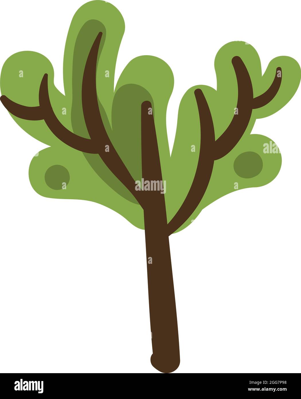 Brazil nut tree, icon illustration, vector on white background Stock ...