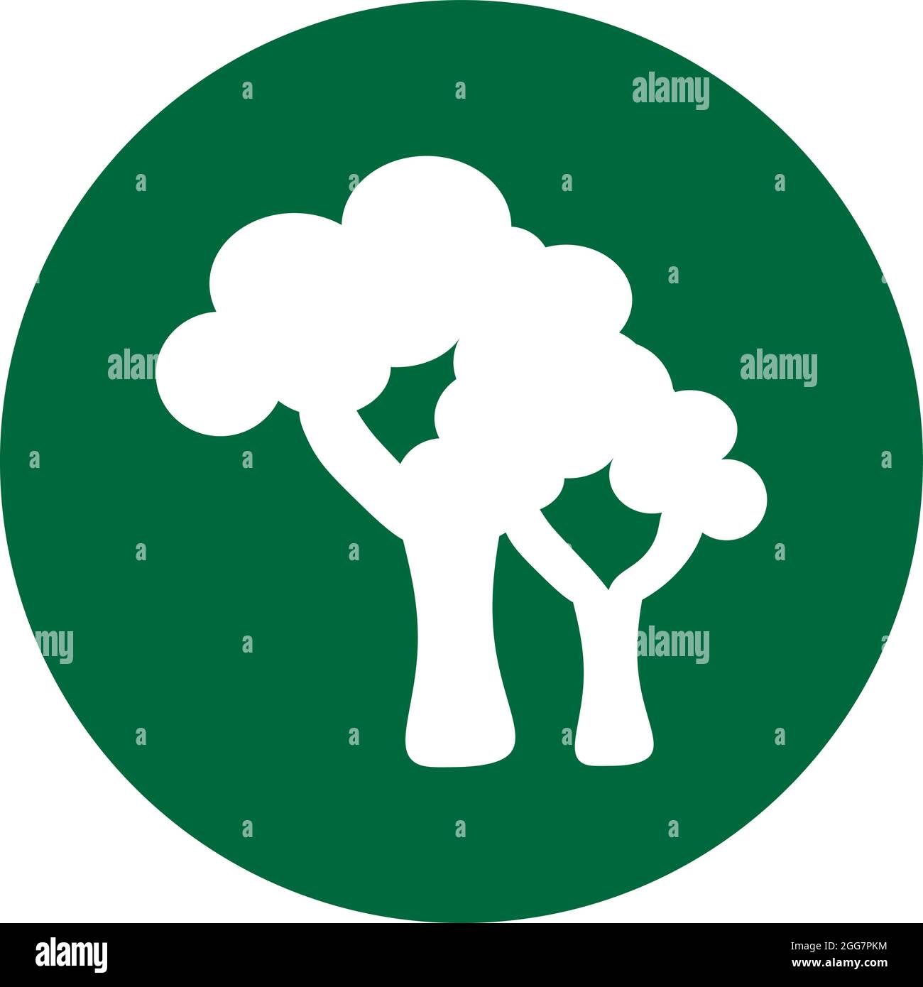 Tropical baobab icon cartoon Stock Vector Images - Alamy