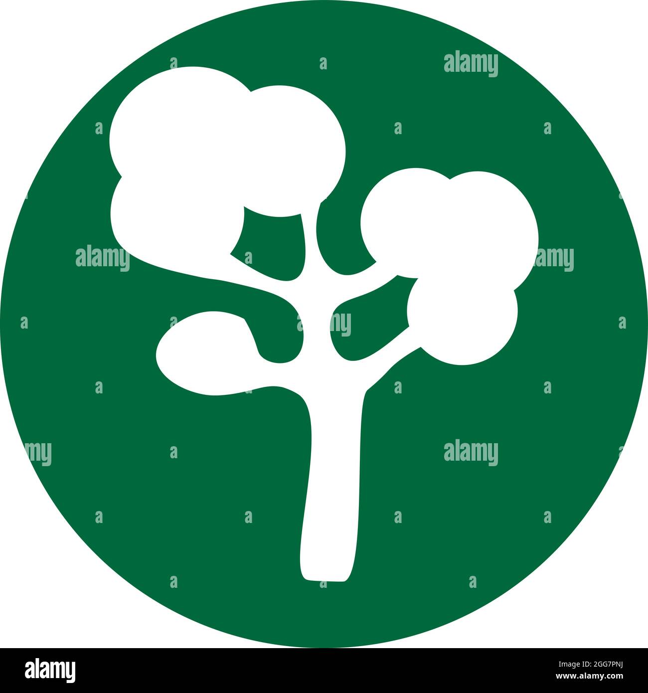 Yulan magnolia tree, icon illustration, vector on white background ...