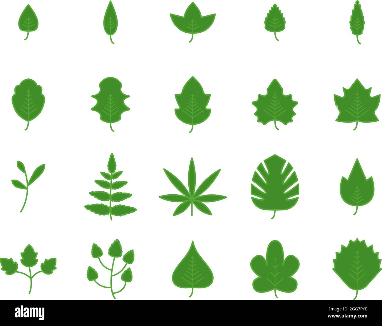 Spring leaves pattern on Cut Out Stock Images & Pictures - Alamy