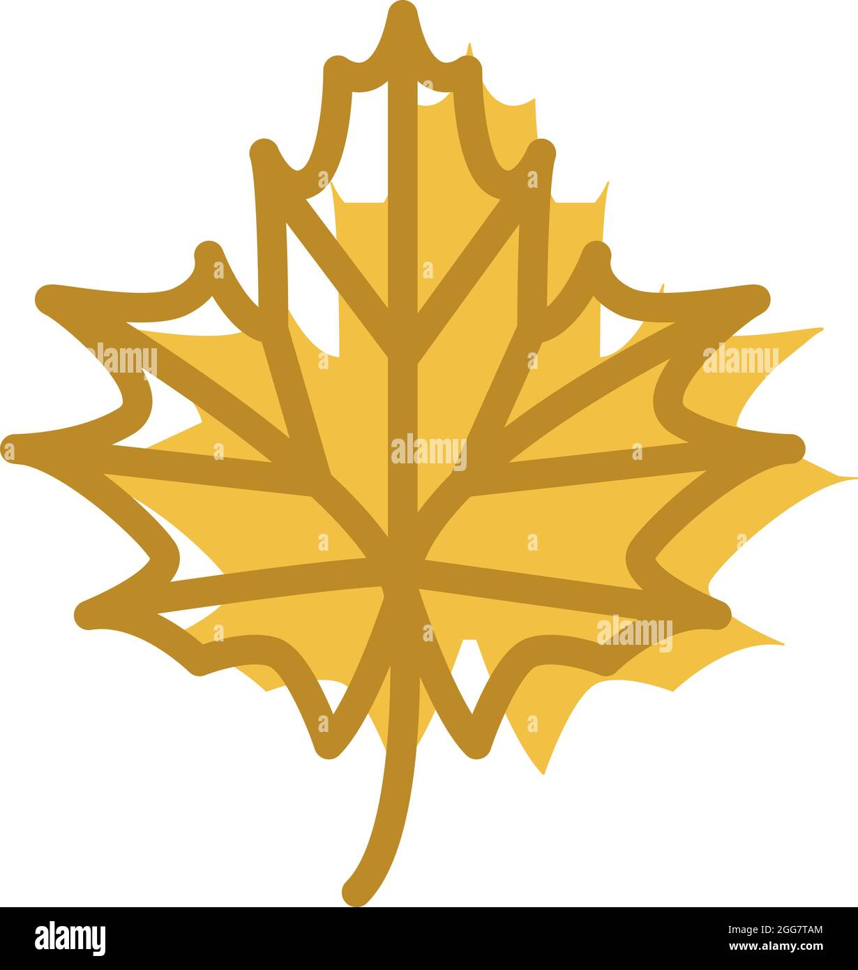 Sugar maple leaf, illustration, on a white background Stock Vector ...