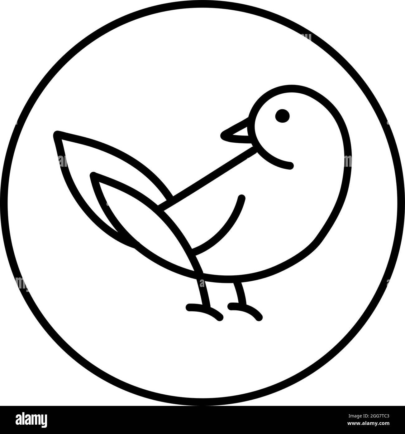 Potoo bird Stock Vector Images - Alamy