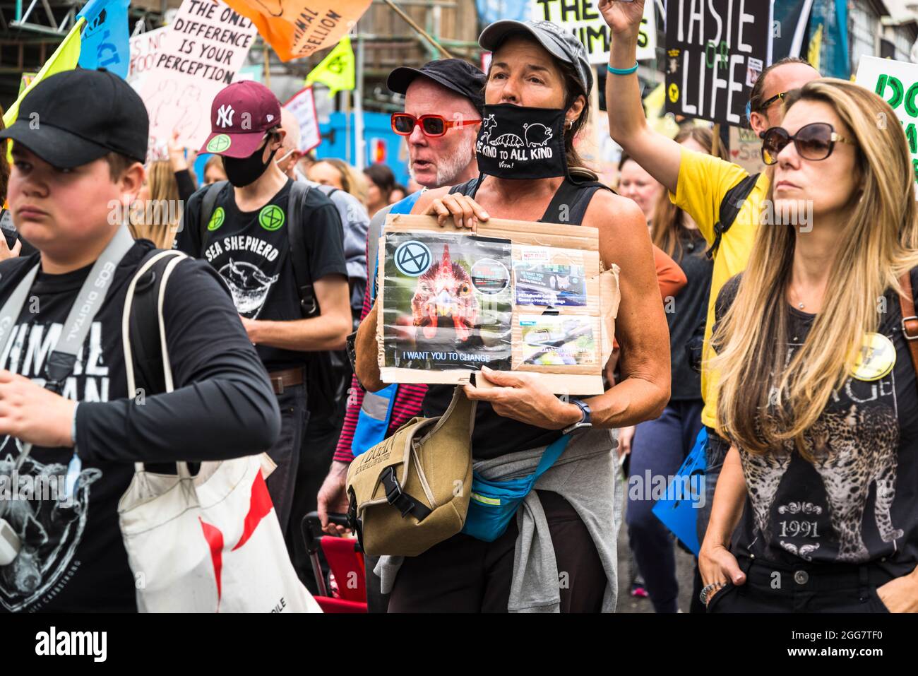 Animal rights protest uk chicken hi-res stock photography and images ...