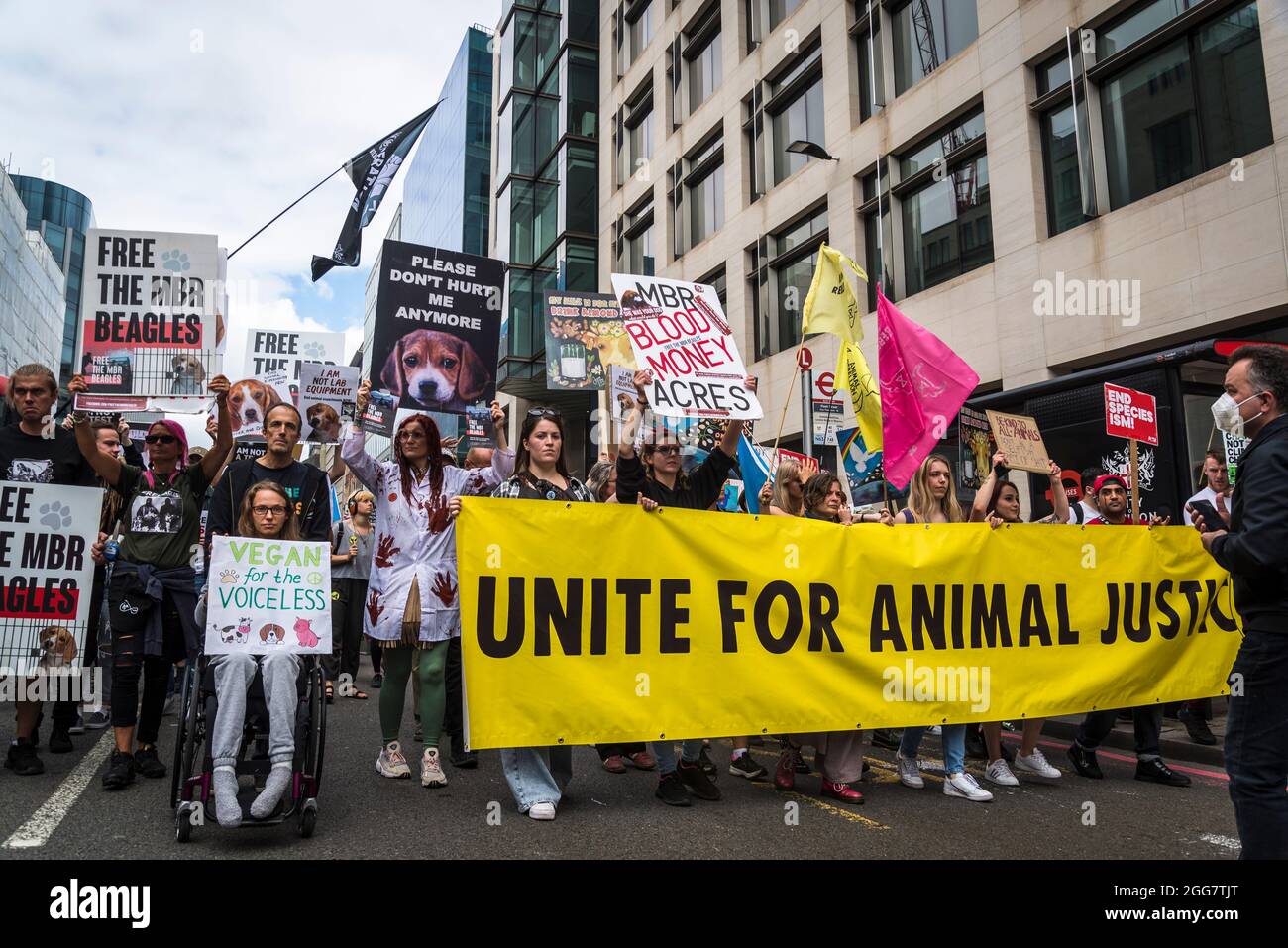 National Animal Rights March, organised by Animal Rebellion and ...