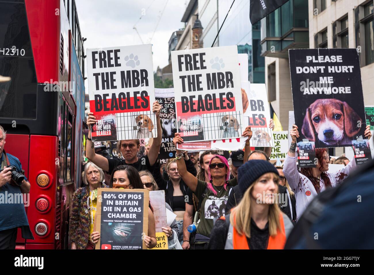 Camp Beagle, Free the MDR Beagle, National Animal Rights March ...
