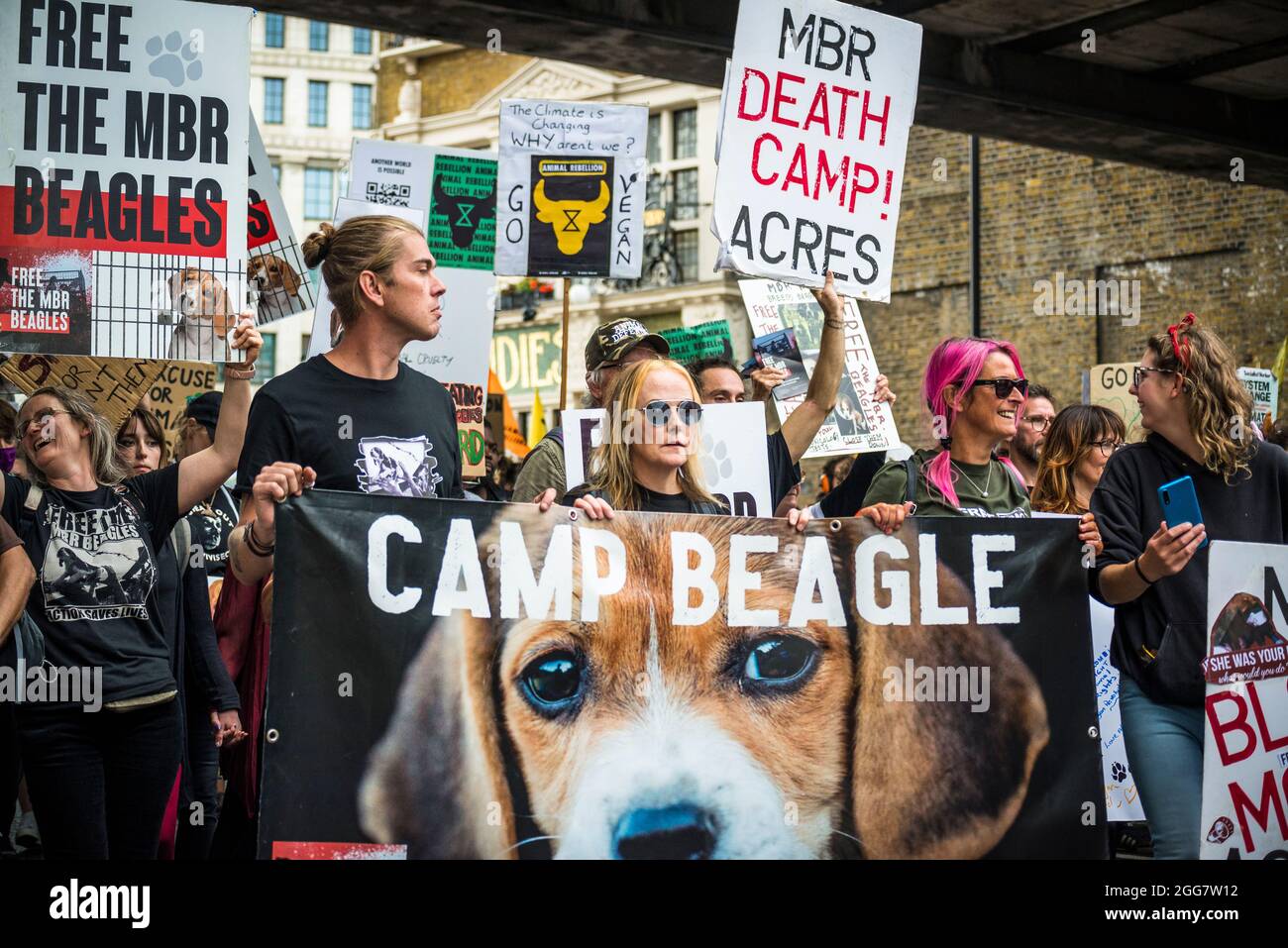 Camp Beagle, Free the MDR Beagle, National Animal Rights March ...