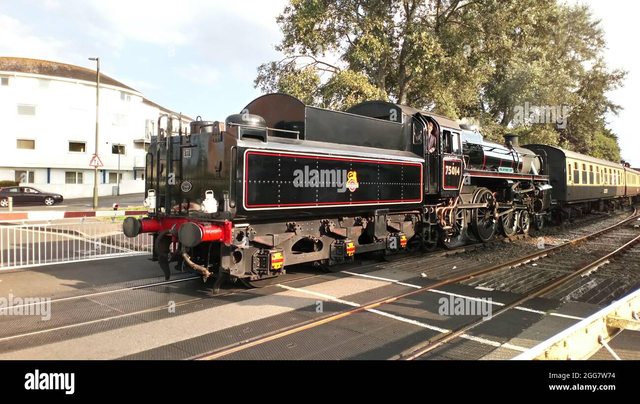 Steam locomotive in devon england hi-res stock photography and images ...