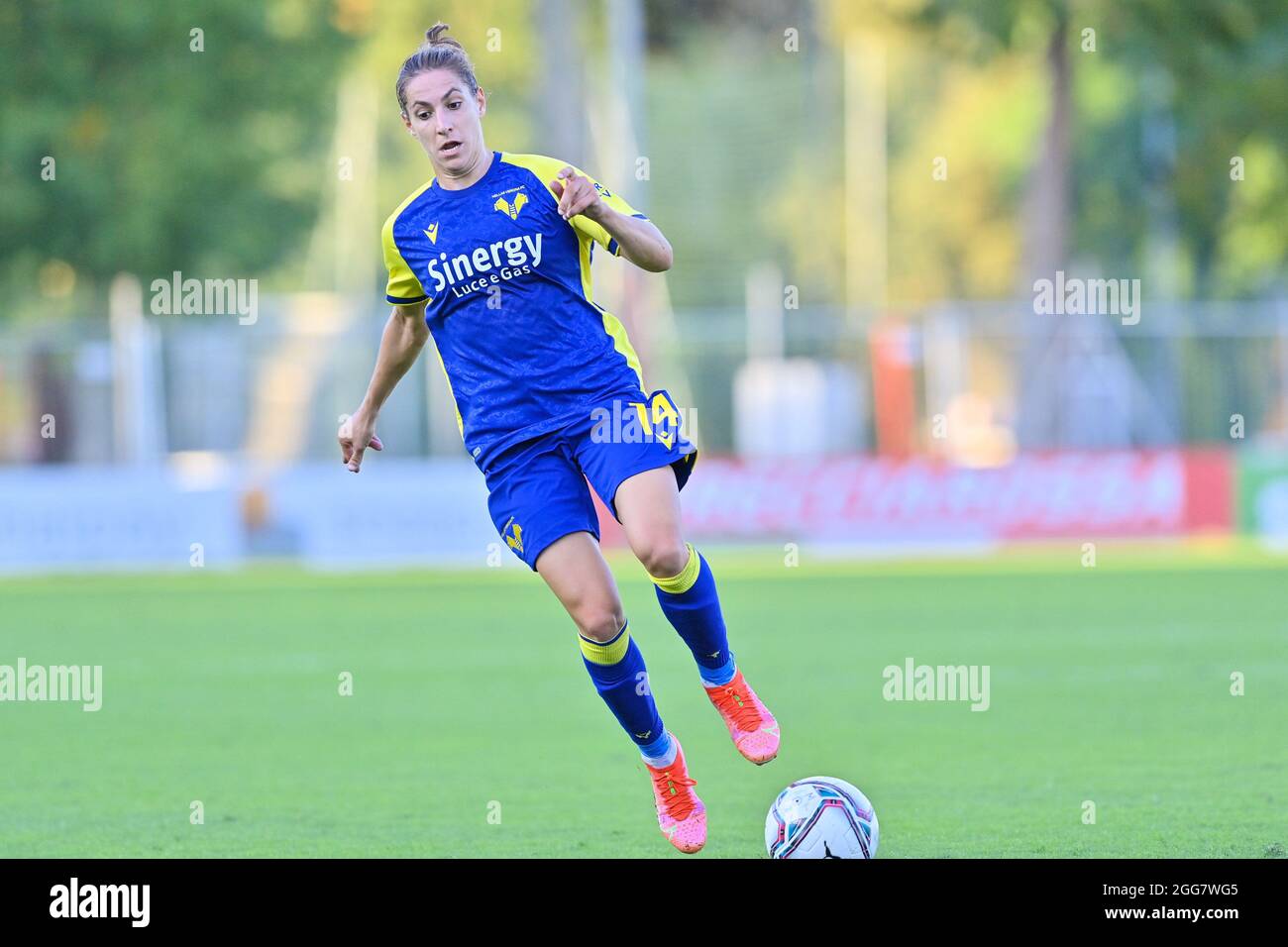 Ana jelencic hi-res stock photography and images - Alamy