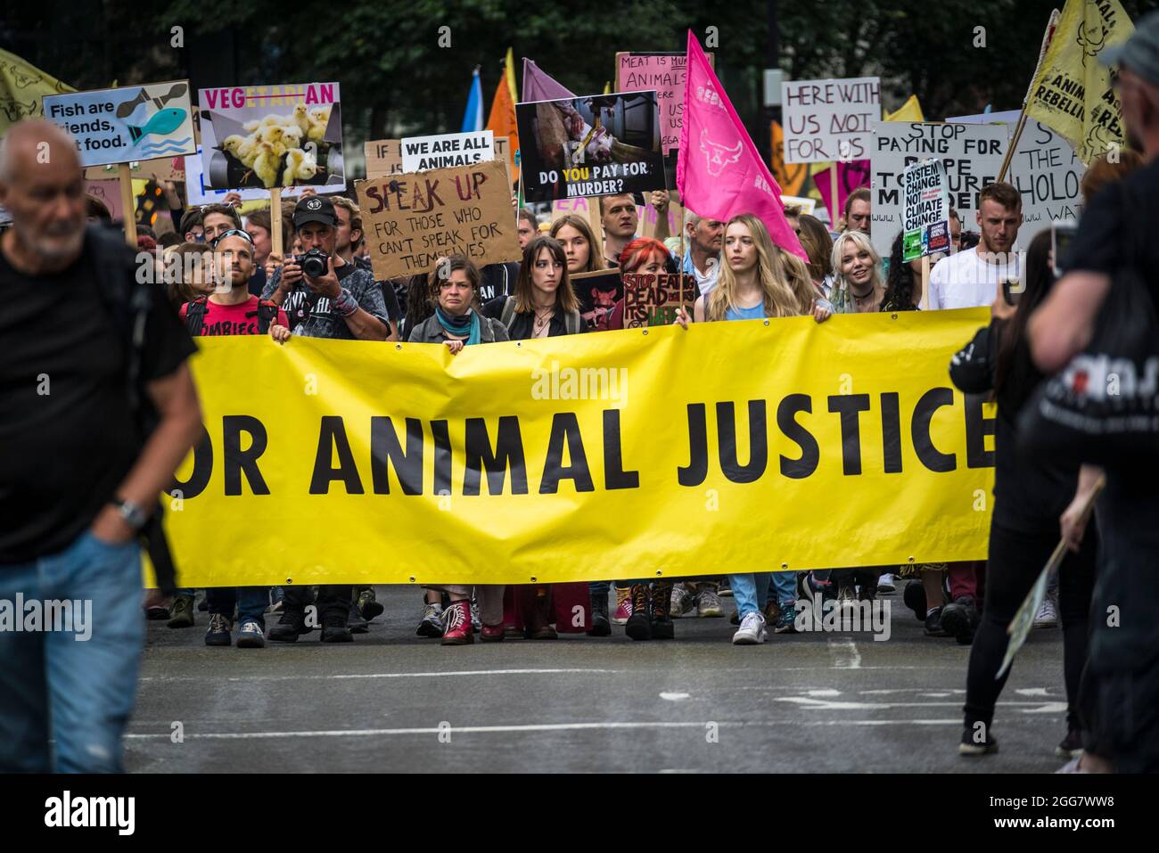 National Animal Rights March, organised by Animal Rebellion and ...