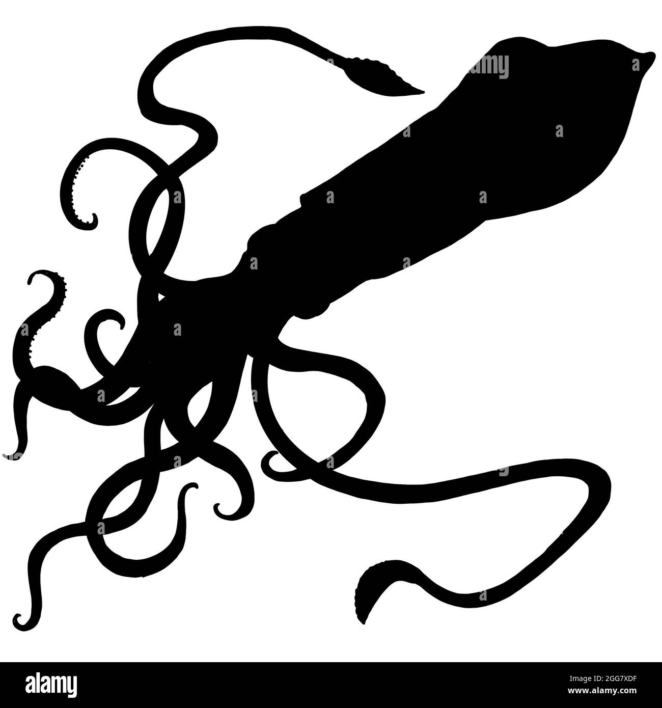 Cuttlefish Silhouette
