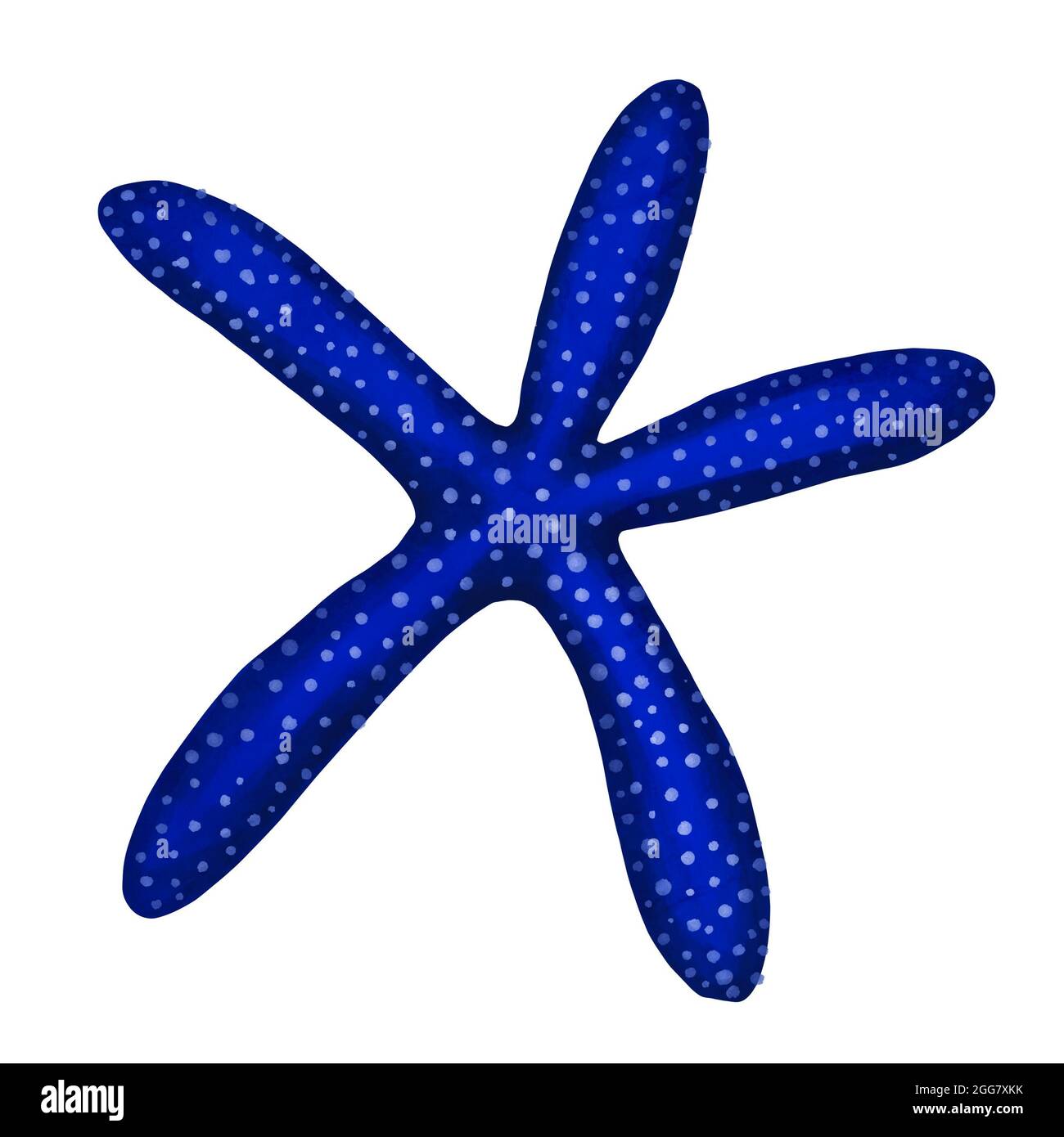 Blue Starfish Drawing