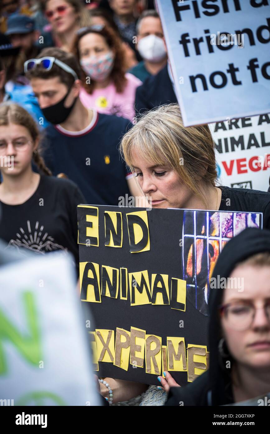 End animal experiments hi-res stock photography and images - Alamy