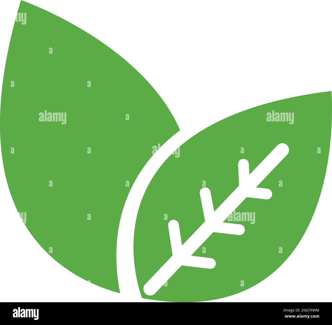 Green leaves, illustration, on a white background Stock Vector Image ...