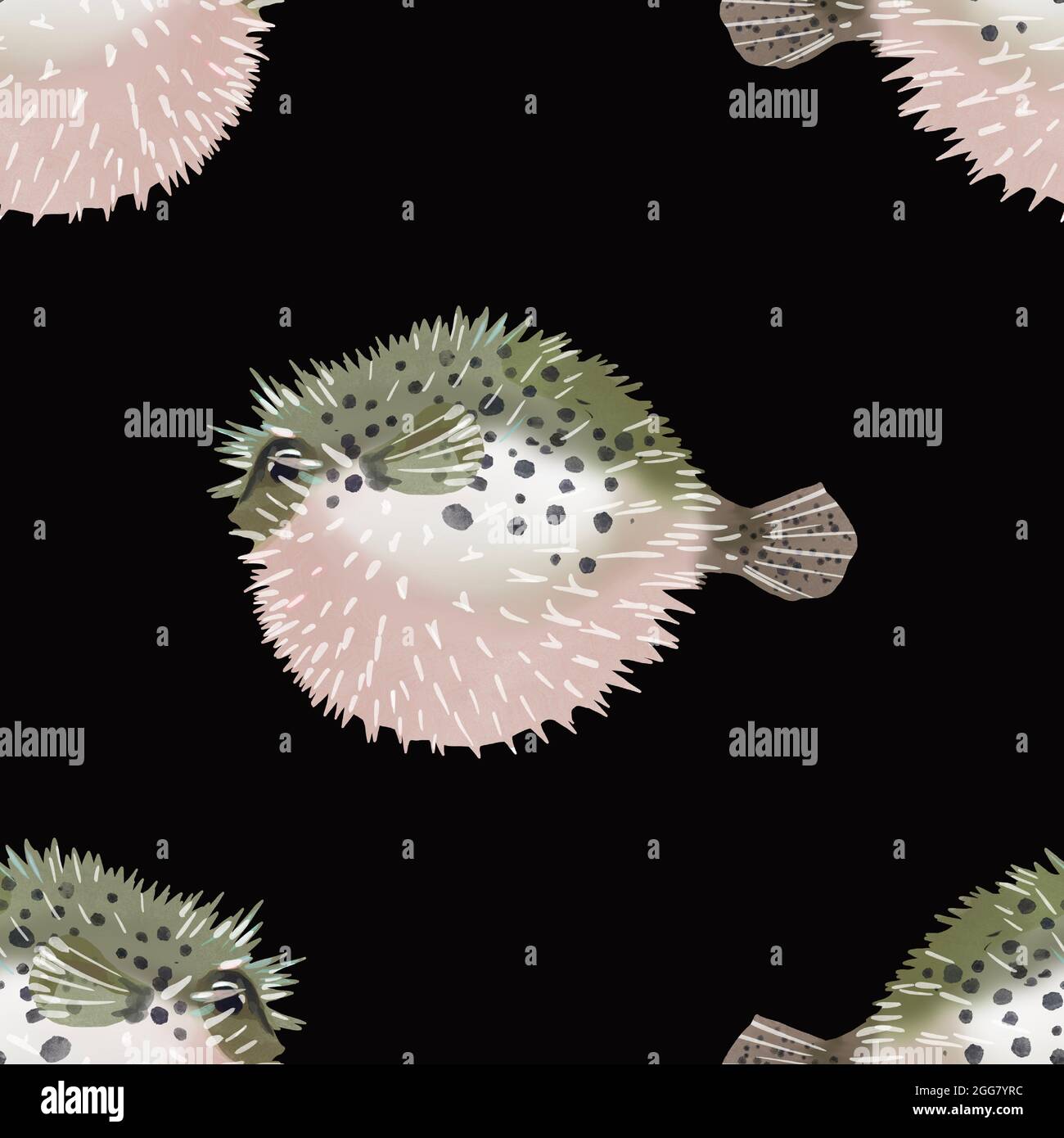 Puffer Fish Diagram