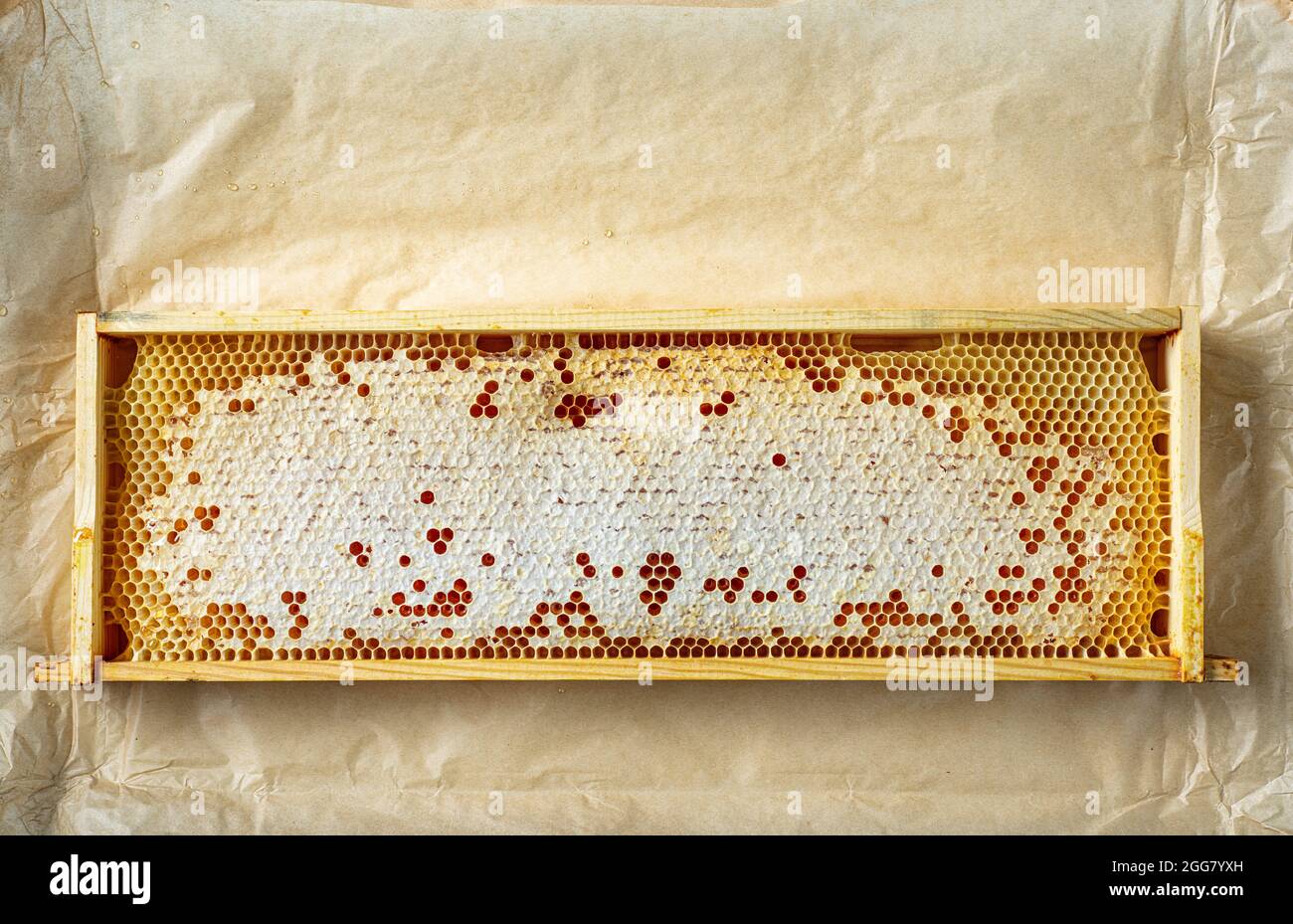 wooden frame of honey combs on brown paper background, top view Stock ...