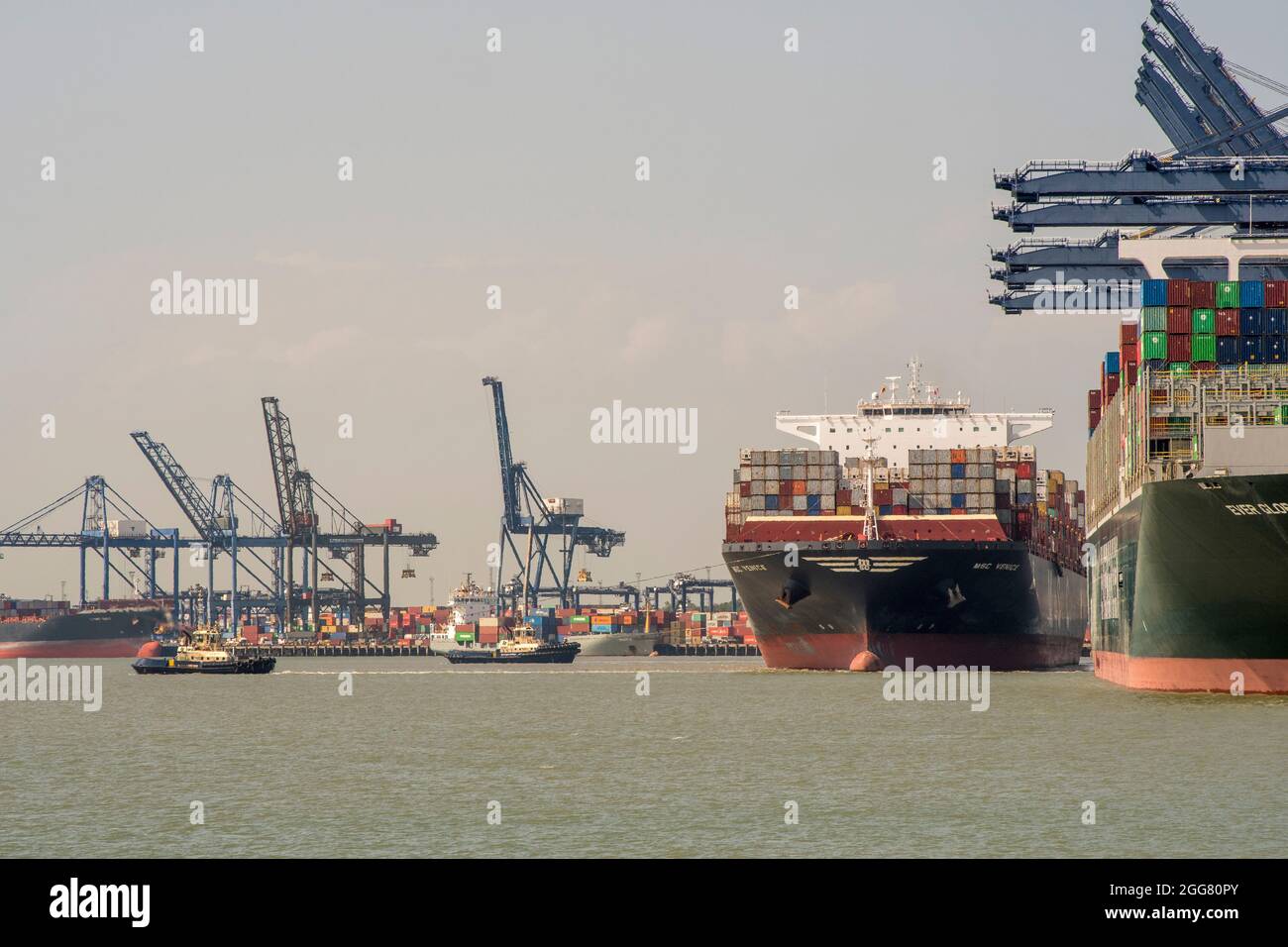 Msc container ship felixstowe hi-res stock photography and images - Alamy