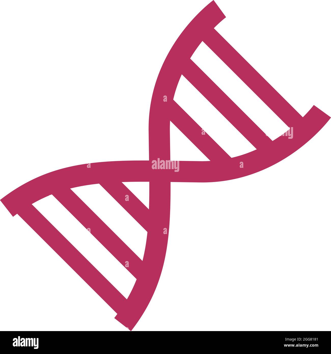 Pink DNA, illustration, on a white background Stock Vector Image & Art ...