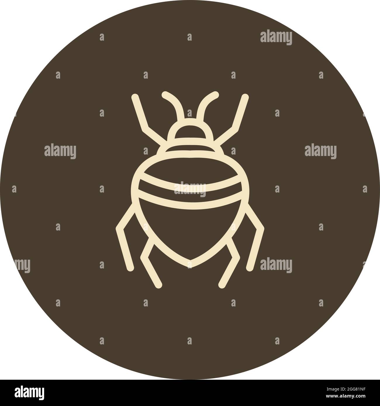 Small bug insect, illustration, on a white background Stock Vector ...
