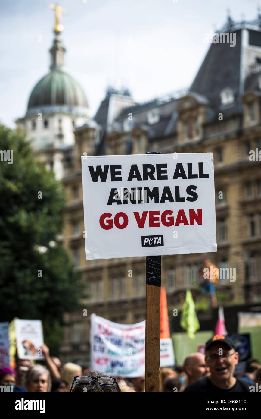 Vegan protestor uk 2021 hi-res stock photography and images - Alamy