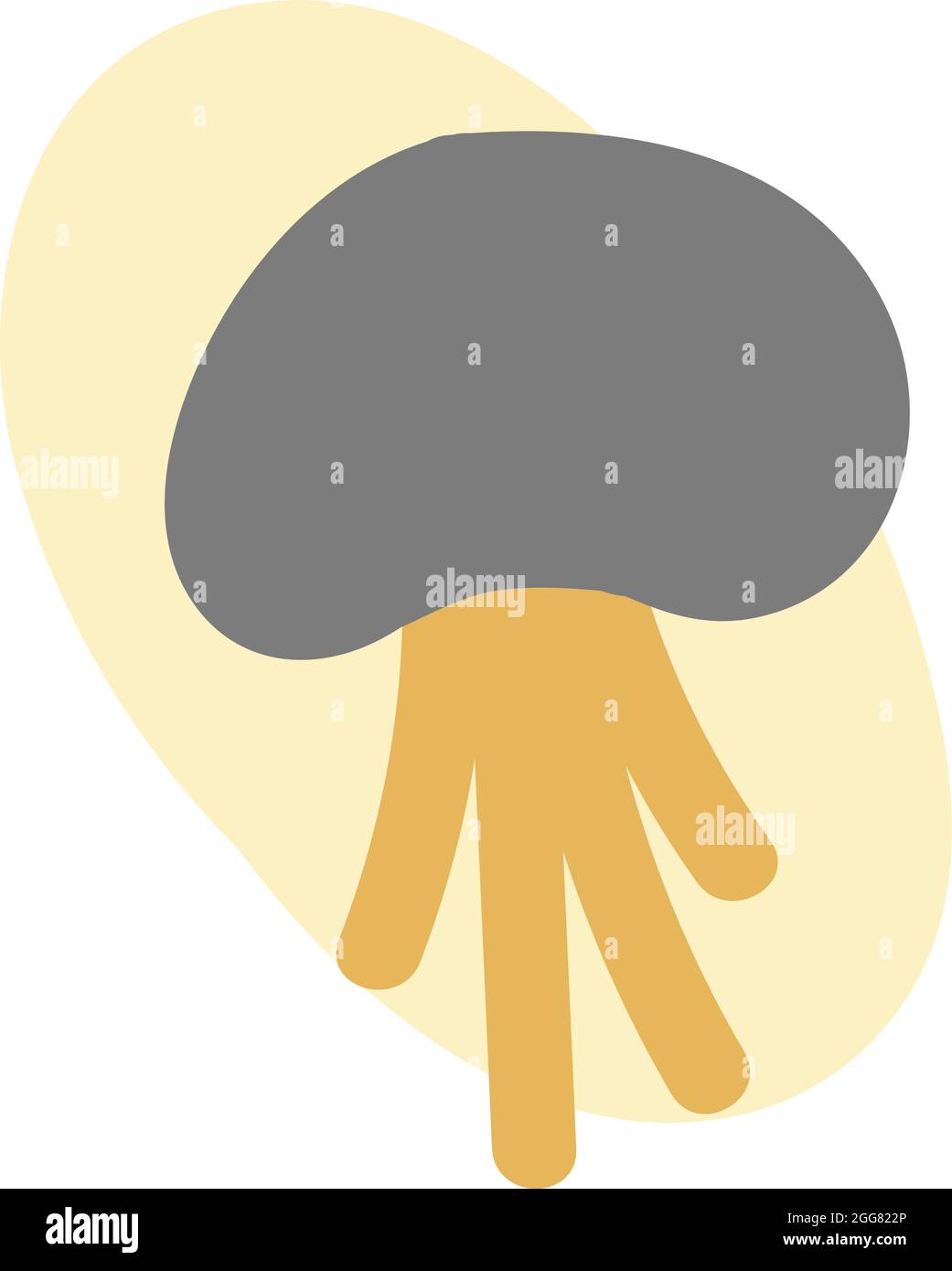 Grey jellyfish, illustration, on a white background Stock Vector Image ...