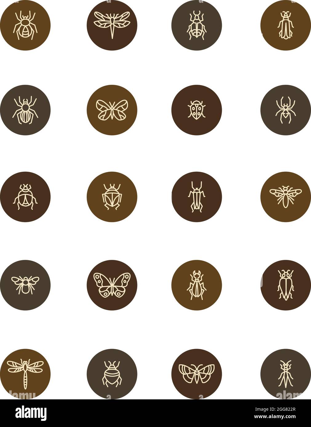 Insect icon set, illustration, on a white background Stock Vector Image ...