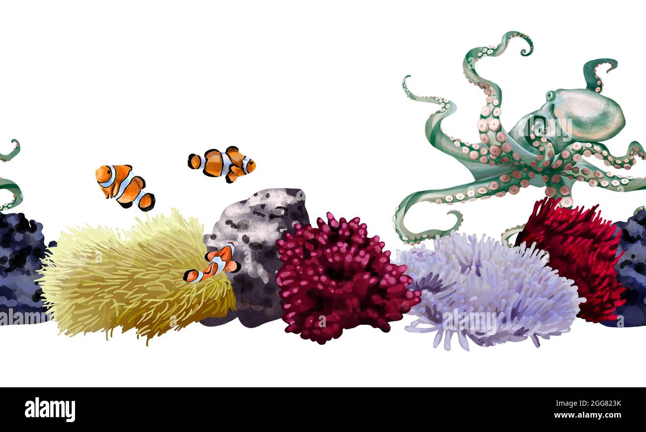Underwater creatures, clown fish, octopus, anemones, corals. Watercolor ...